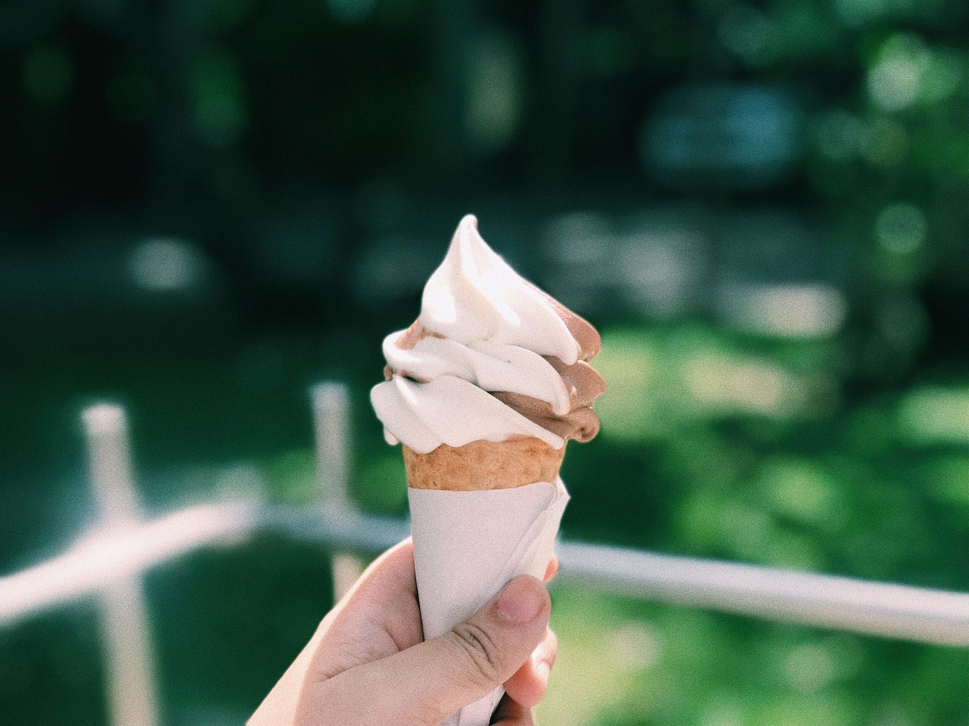 Best ice cream in Venice | Venice Insider Guide