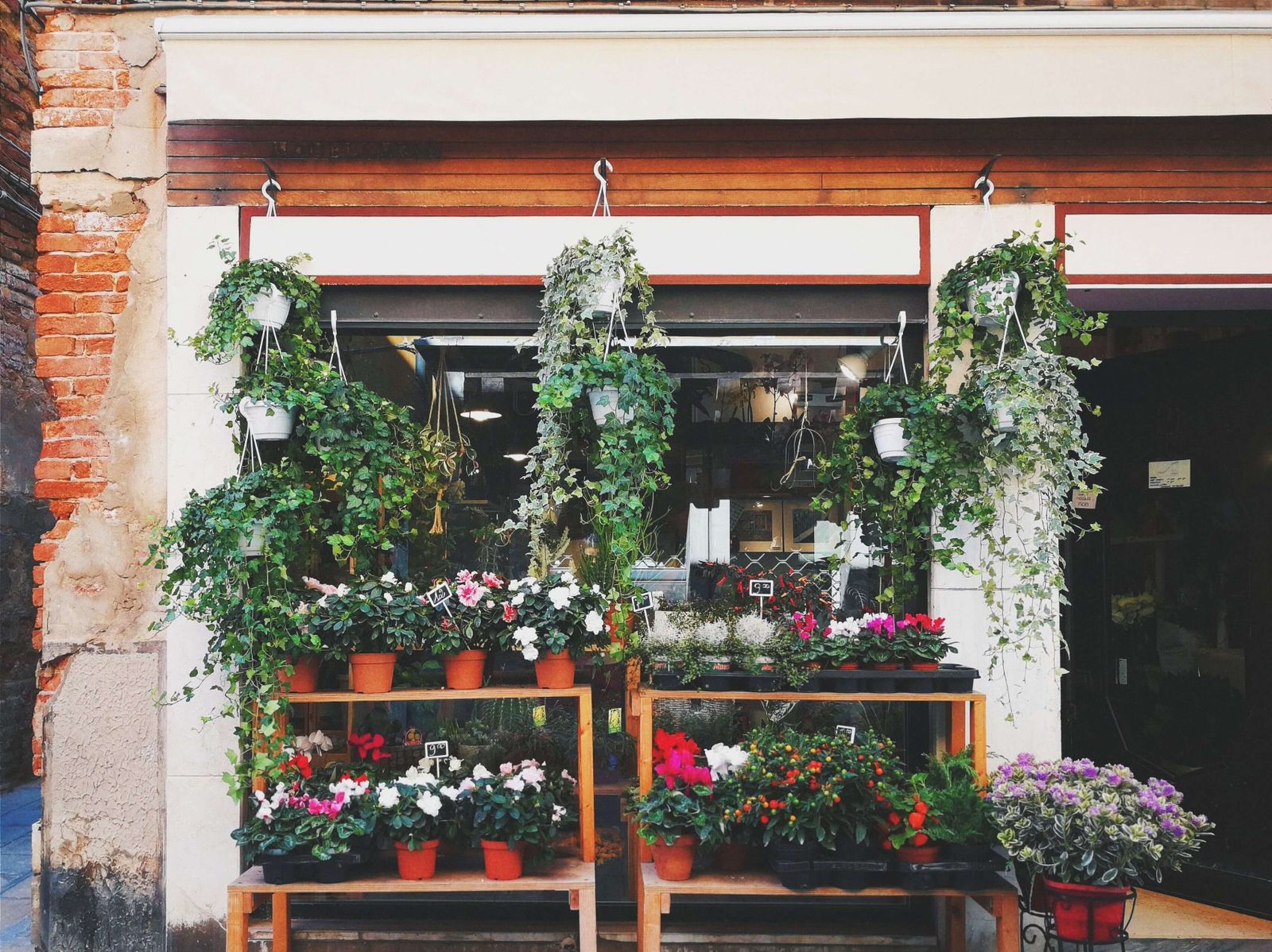 Venice Insider Guide I What is spring like in Venice