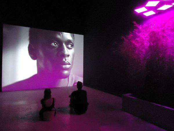 Venice Biennale, the ideal 3-days itinerary to explore the art exhibition