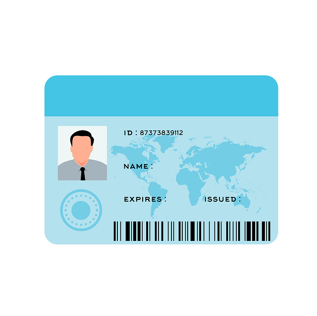 Electronic Identity Card in Venice | Venice Insider Guide